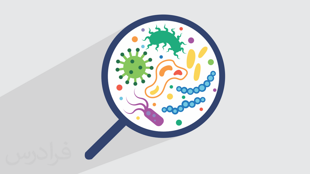 آموزش زیست شناسی انگل ها | فرادرس