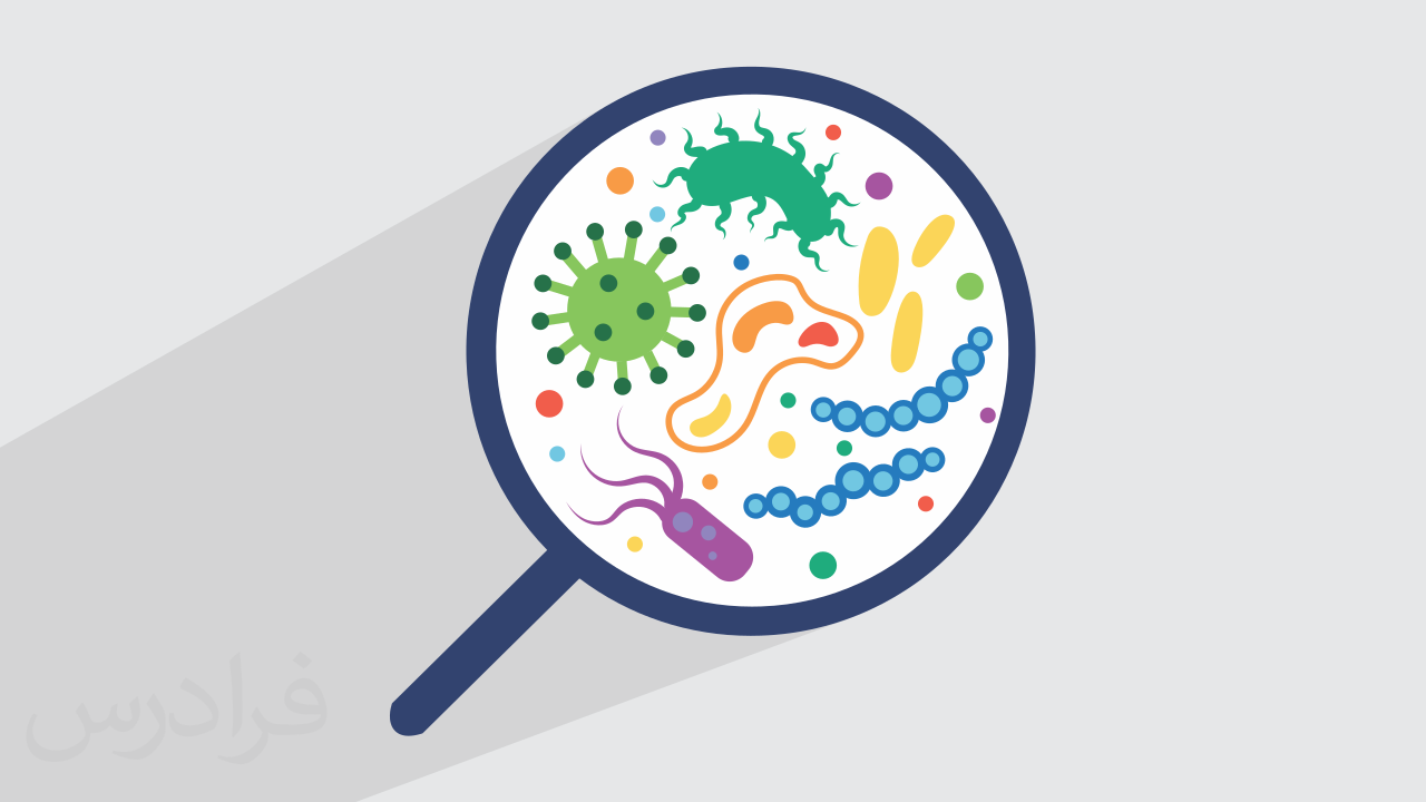 آموزش زیست شناسی انگل ها | فرادرس